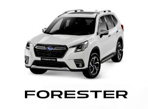 Contacto | Subaru Puebla